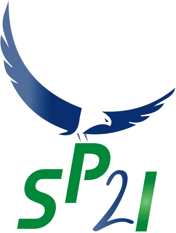 Offre emploi de DESSINATEUR / PROJETEUR MECANIQUE | SP2I | GONDECOURT ...